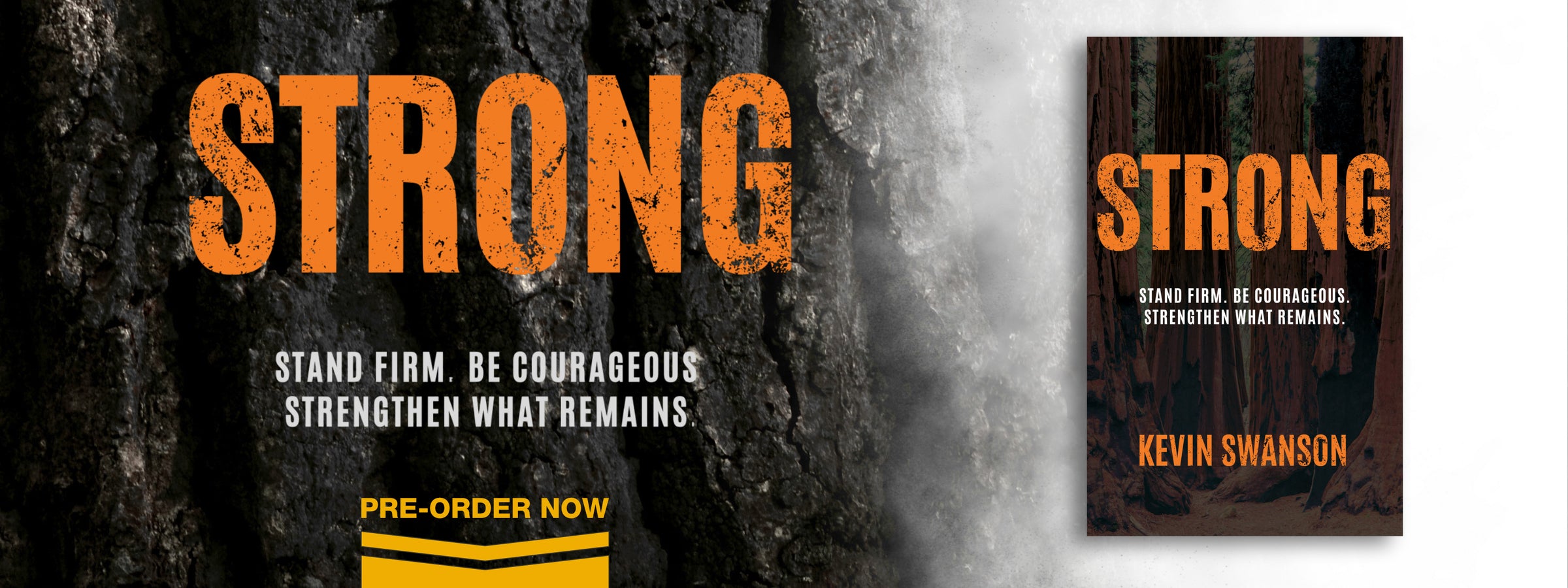 Kevin Swanson's Books