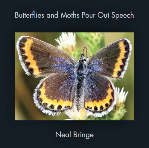 Butterflies and Moths Pour Out Speech – Generations