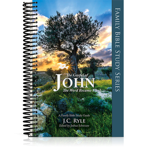 Family Bible Study Series